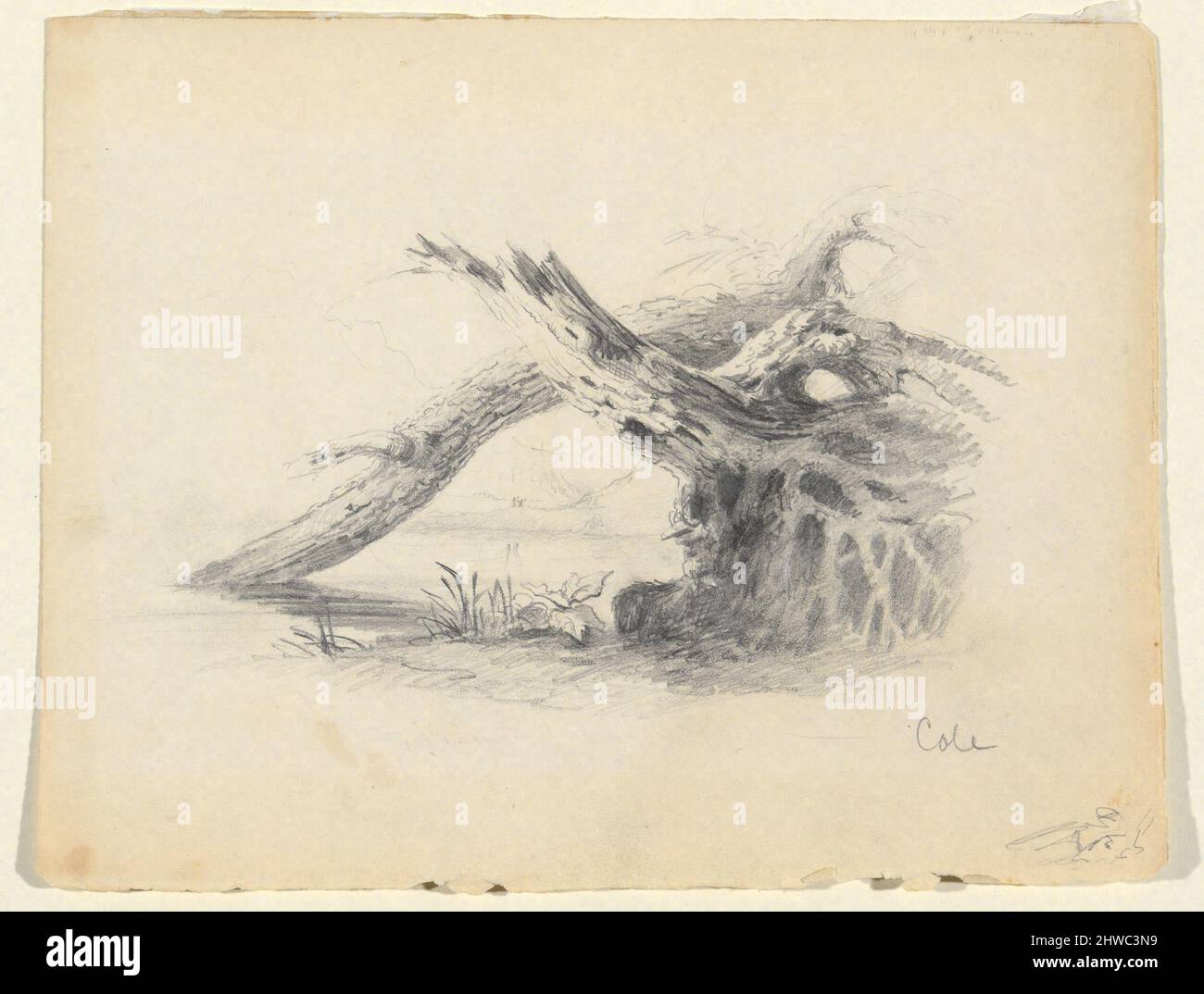 Sketch of Two Dead Trees. Artist: Thomas Cole, American, born England ...