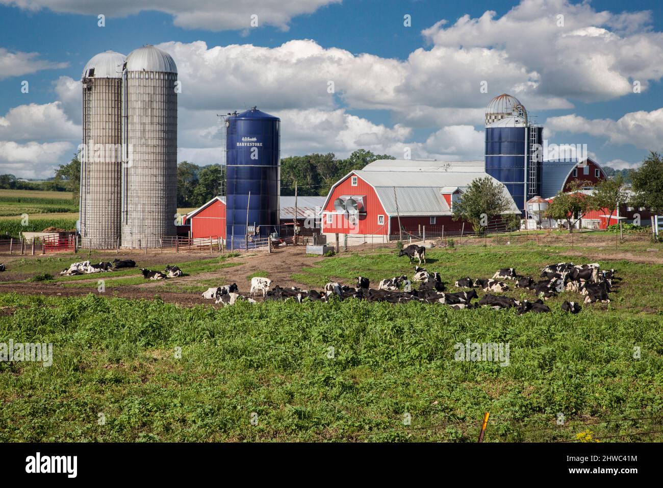 Iowa dairy farm hi-res stock photography and images - Alamy