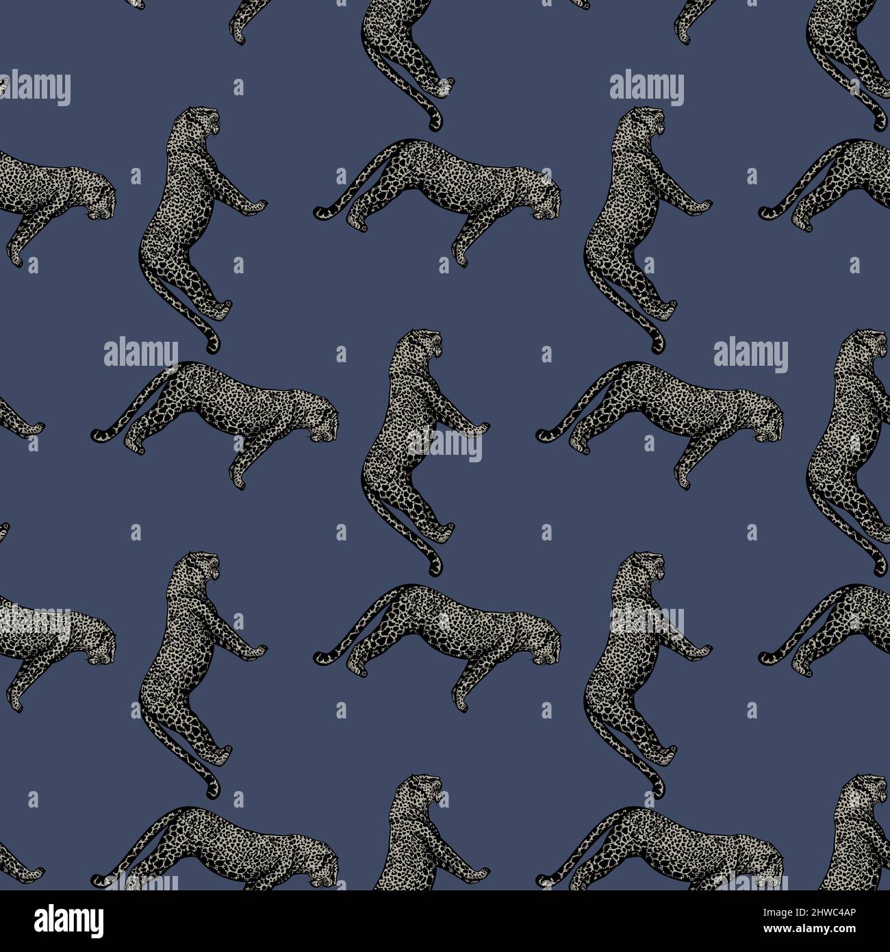 Leopard seamless pattern. Vintage wildlife animals background. Repeated ...