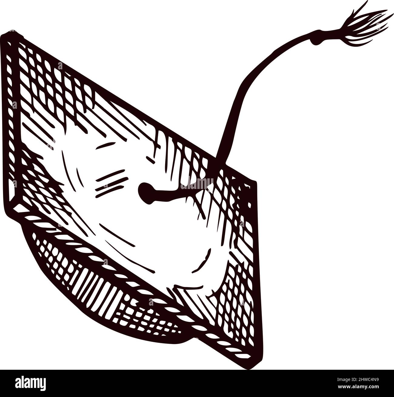 Graduate hat sketch isolated. Vintage element education in hand drawn ...