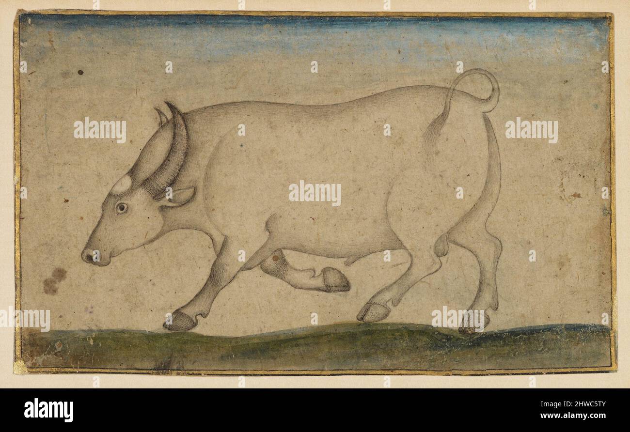 Pen drawing of a bullock Stock Photo - Alamy