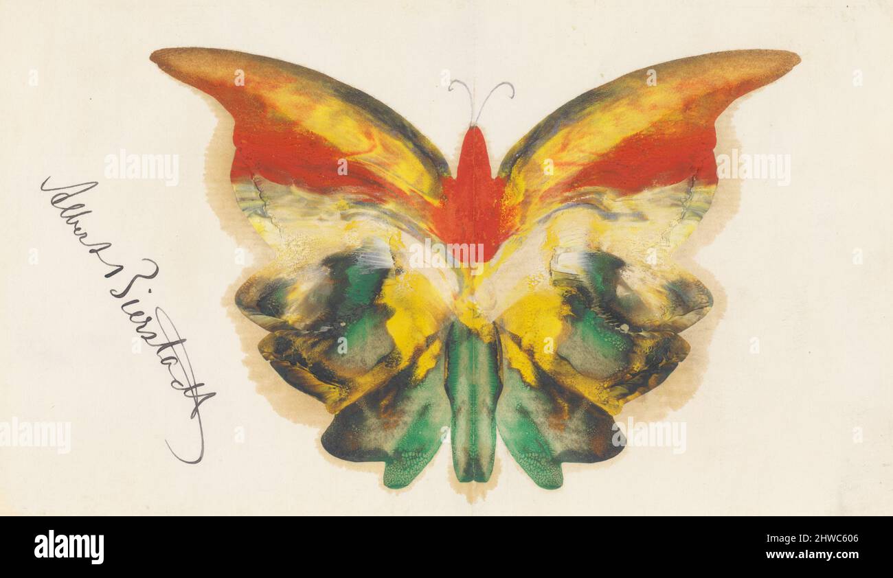Albert bierstadt butterfly hi-res stock photography and images - Alamy