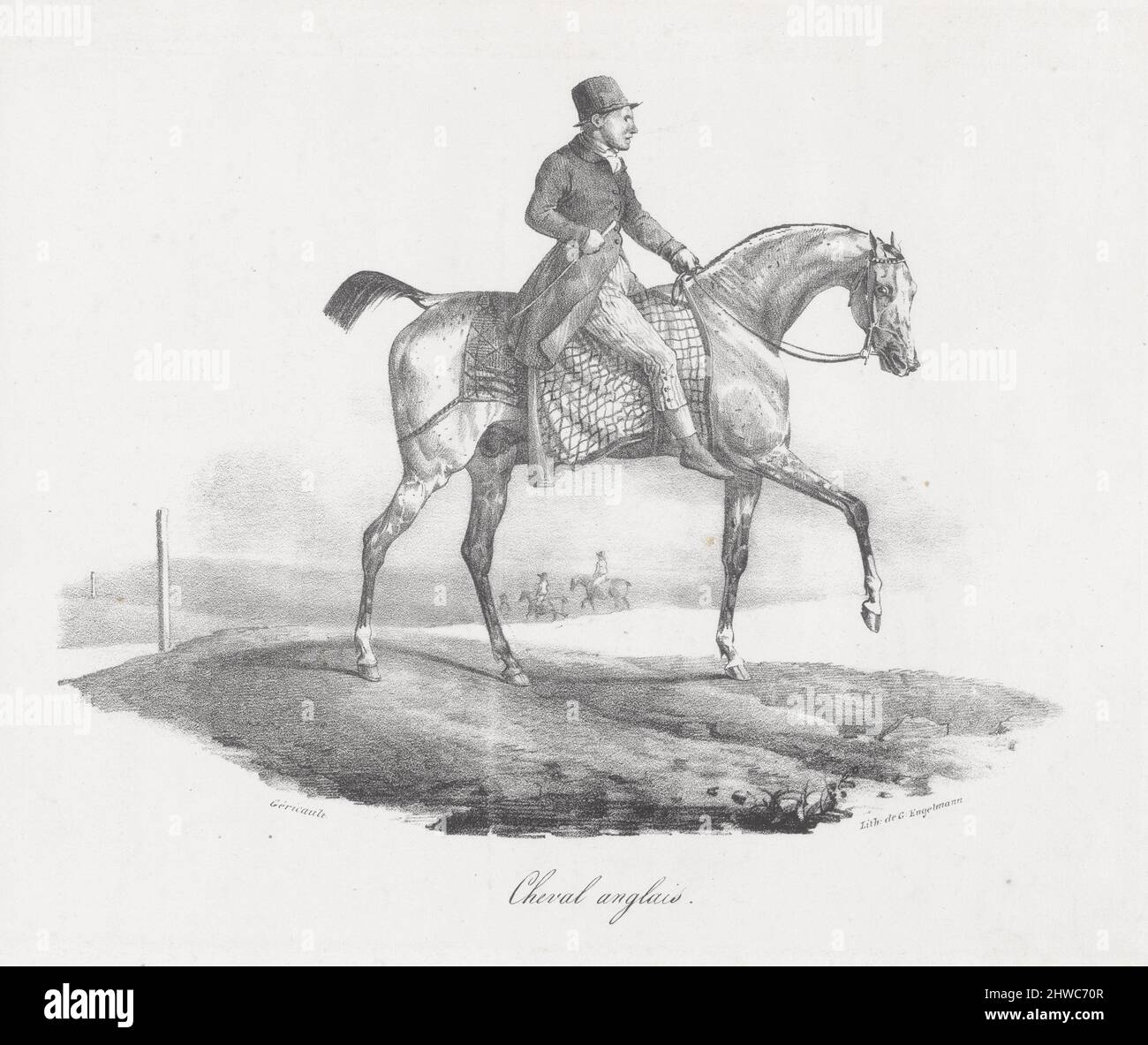 Cheval anglais hi-res stock photography and images - Alamy