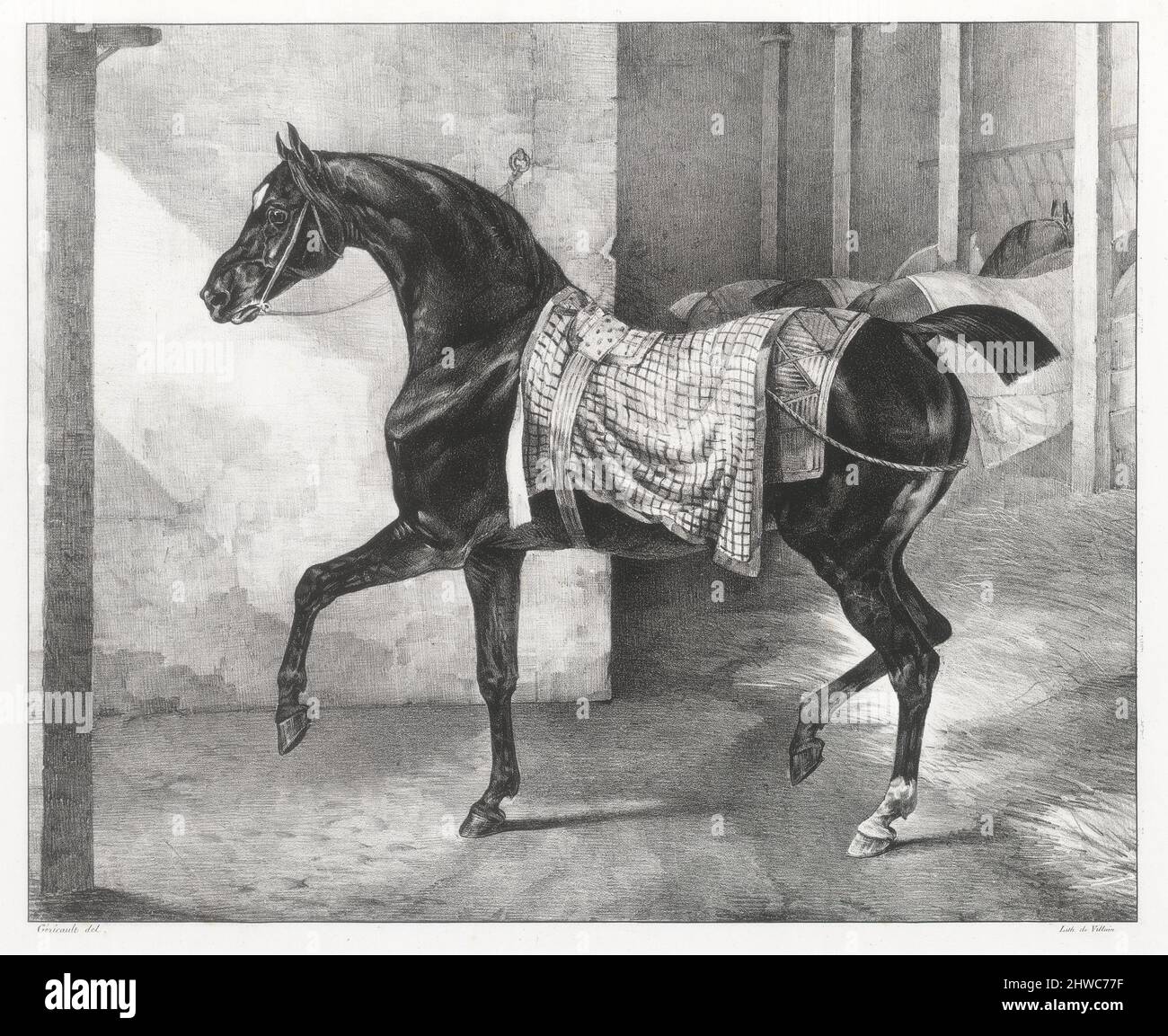 Cheval noir attaché dans une écurie (A Black Horse Tethered in a Stable ...