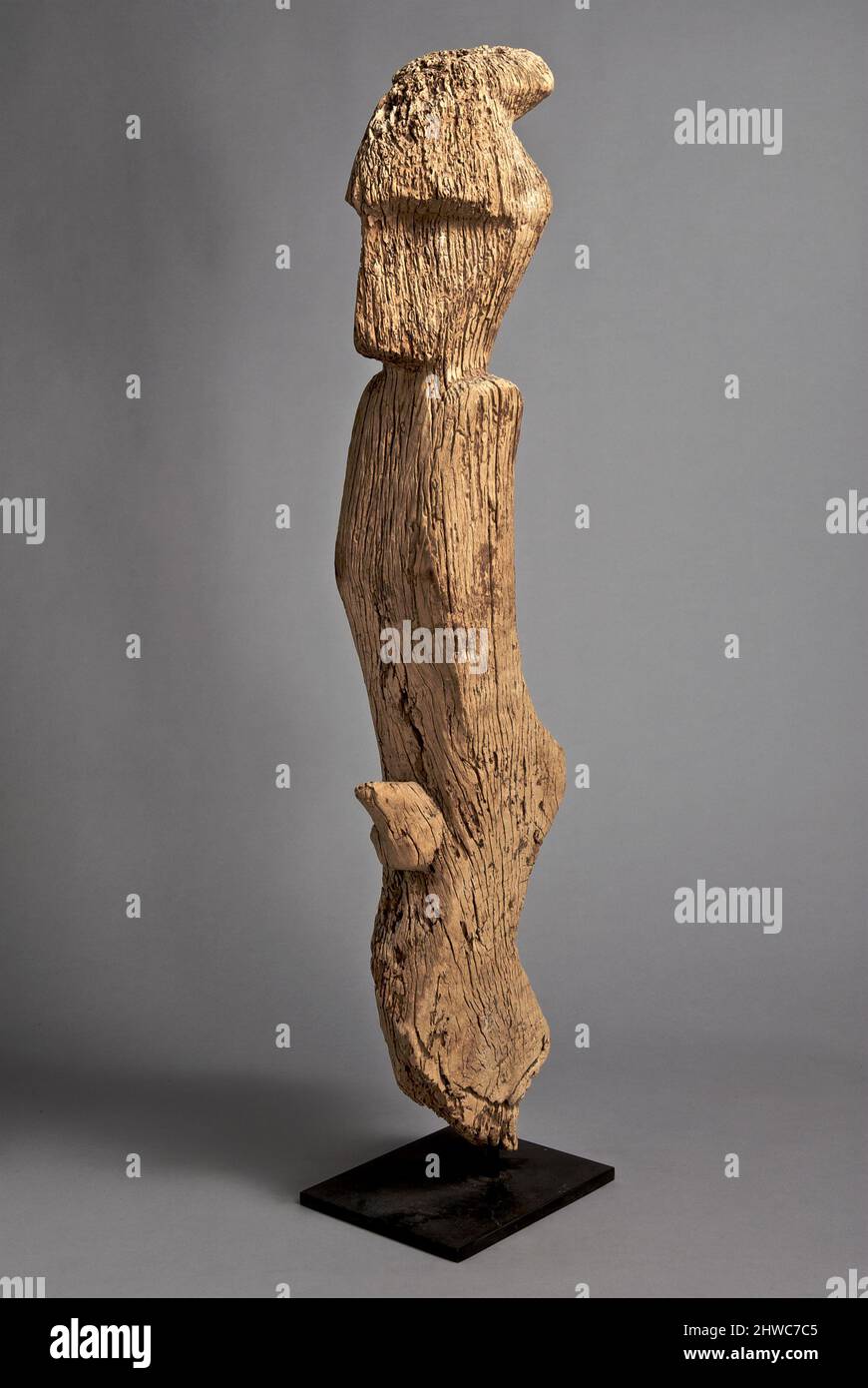 Male ancestor hi-res stock photography and images - Alamy