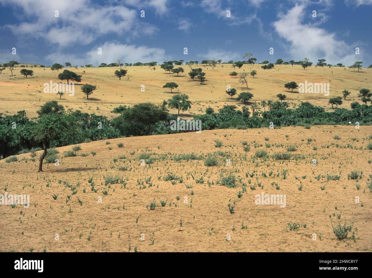 Sahel Landscape near Goure, Southeastern Niger Stock Photo - Alamy