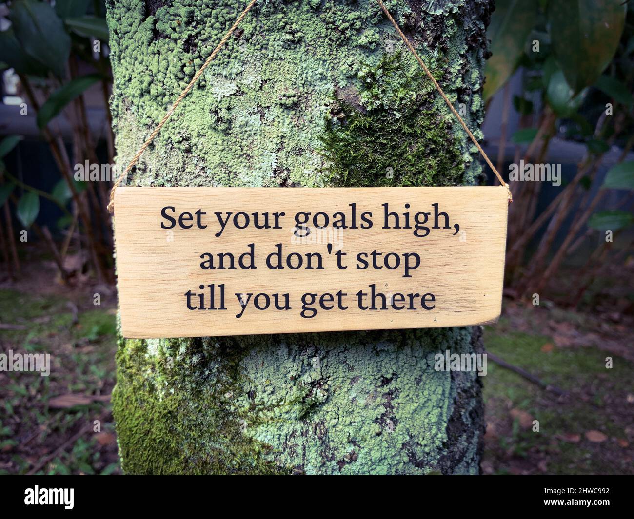 Motivational and Inspiration quote on setting goals Stock Photo - Alamy