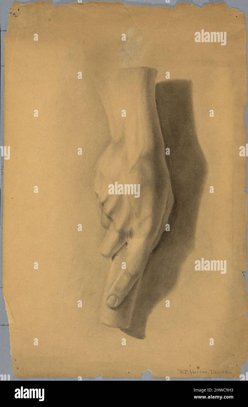 Academic approach to anatomy hi-res stock photography and images - Alamy