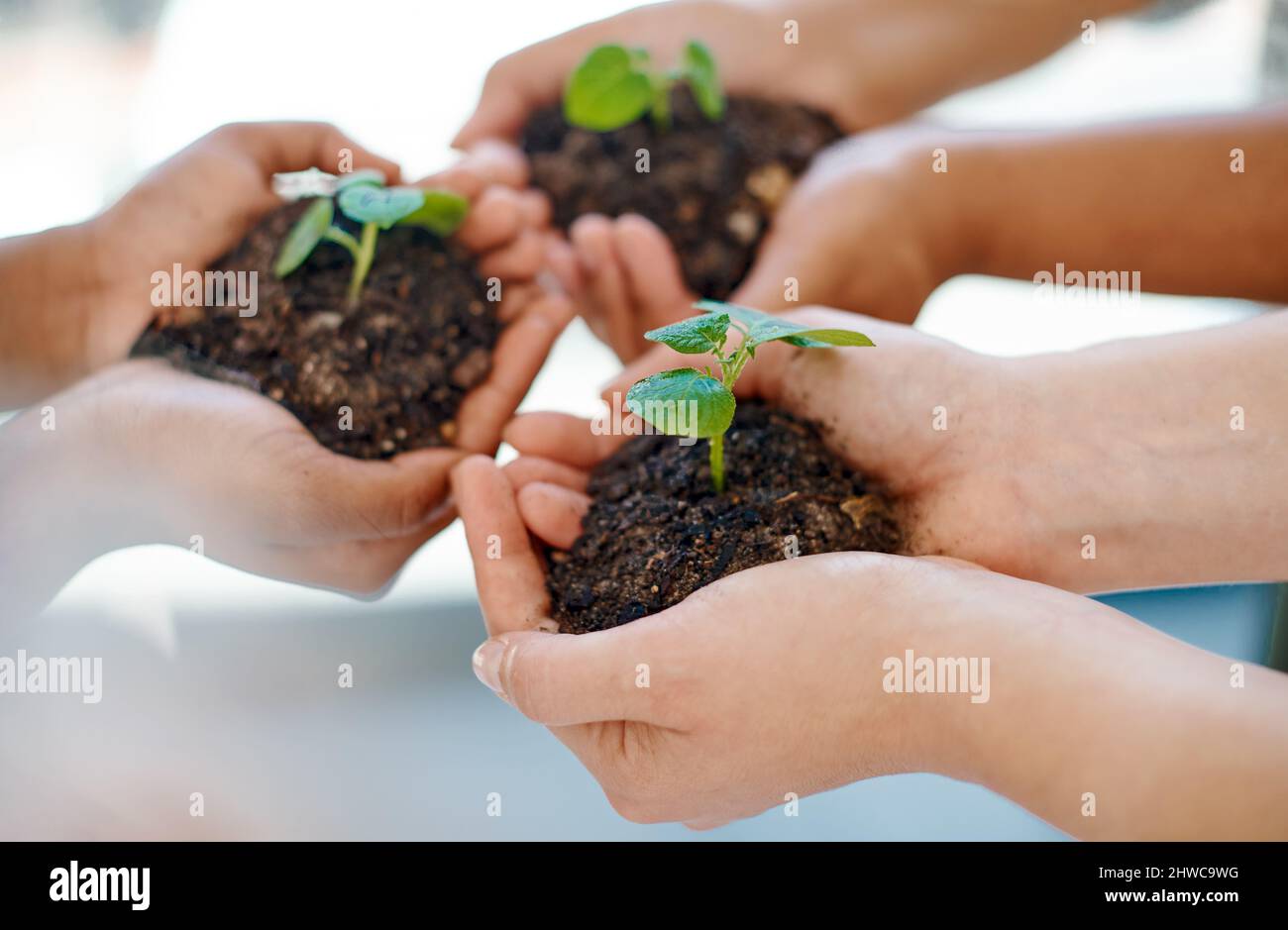 Start planting your seeds of success today. Cropped shot of an ...