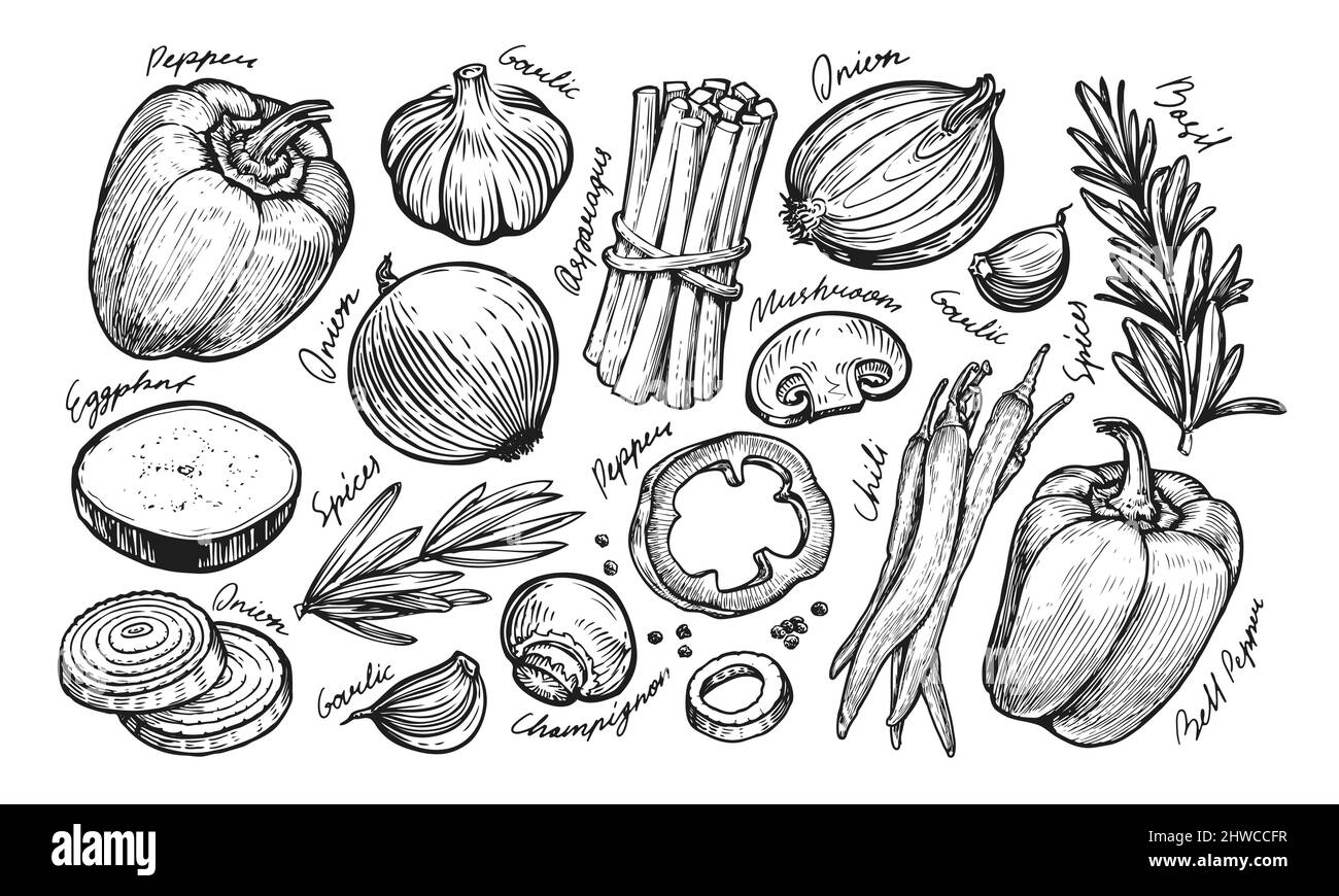 Fresh vegetables set sketch. Farm organic food hand drawn vintage ...
