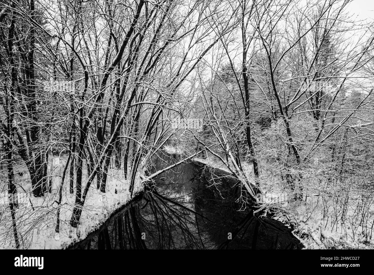 Stream running through a Wisconsin forest in November, horizontal Stock ...