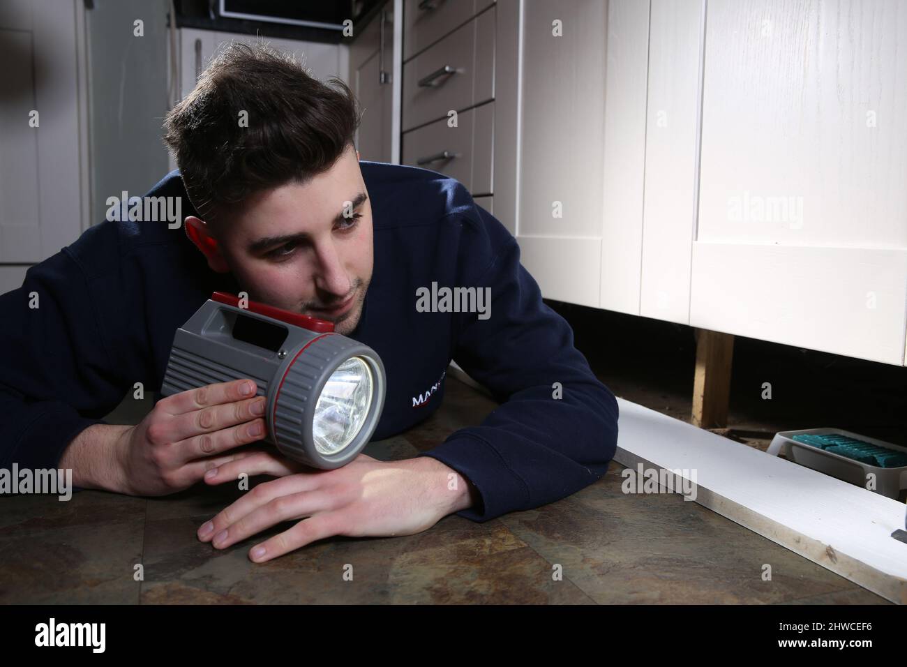 Pest control expert lays rodent poison under kitchen units Stock Photo ...