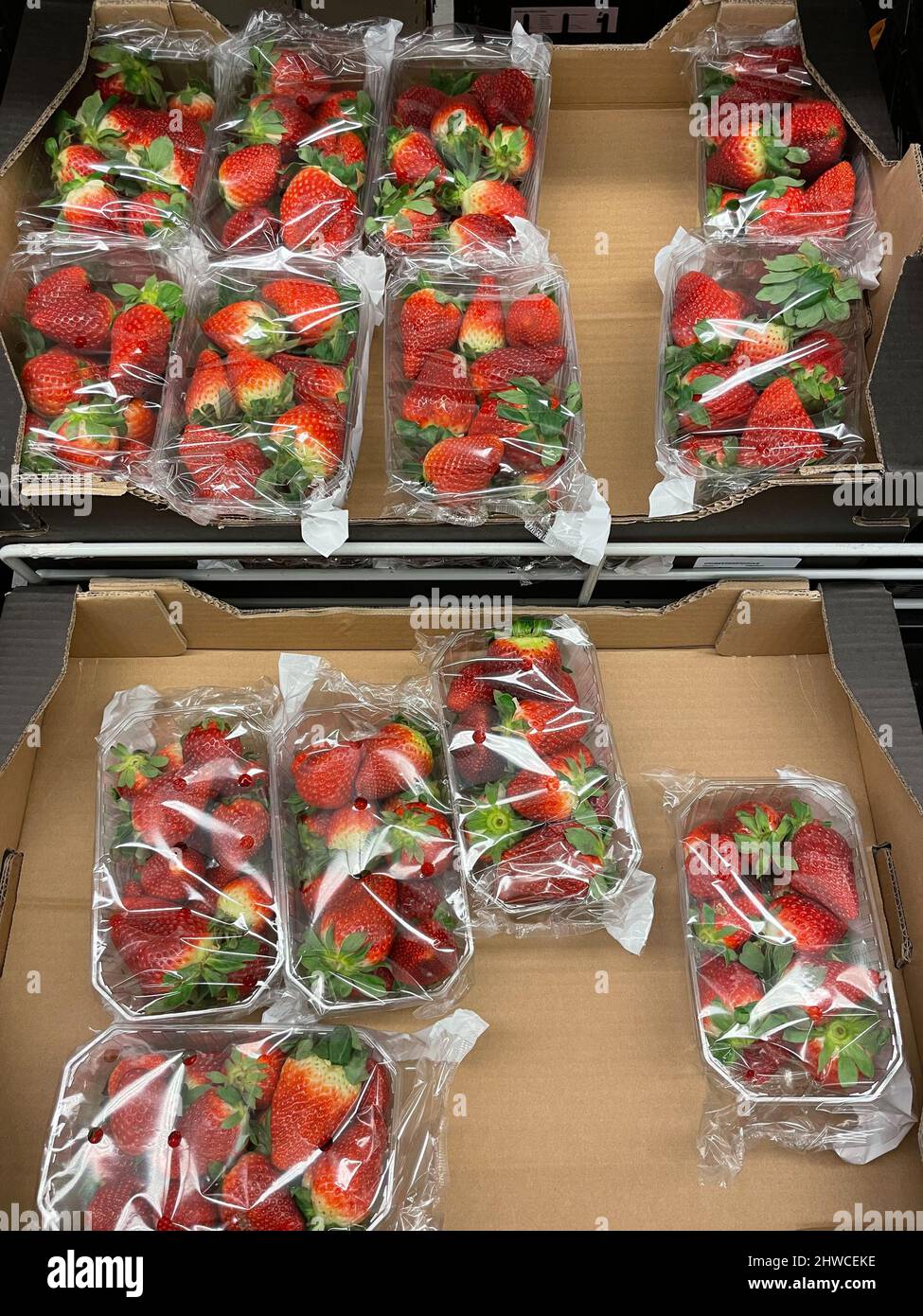 Strawberries in vegetable garden close hi-res stock photography and ...