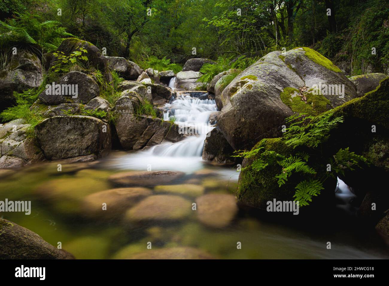 Natural river running through the forest Stock Photo - Alamy