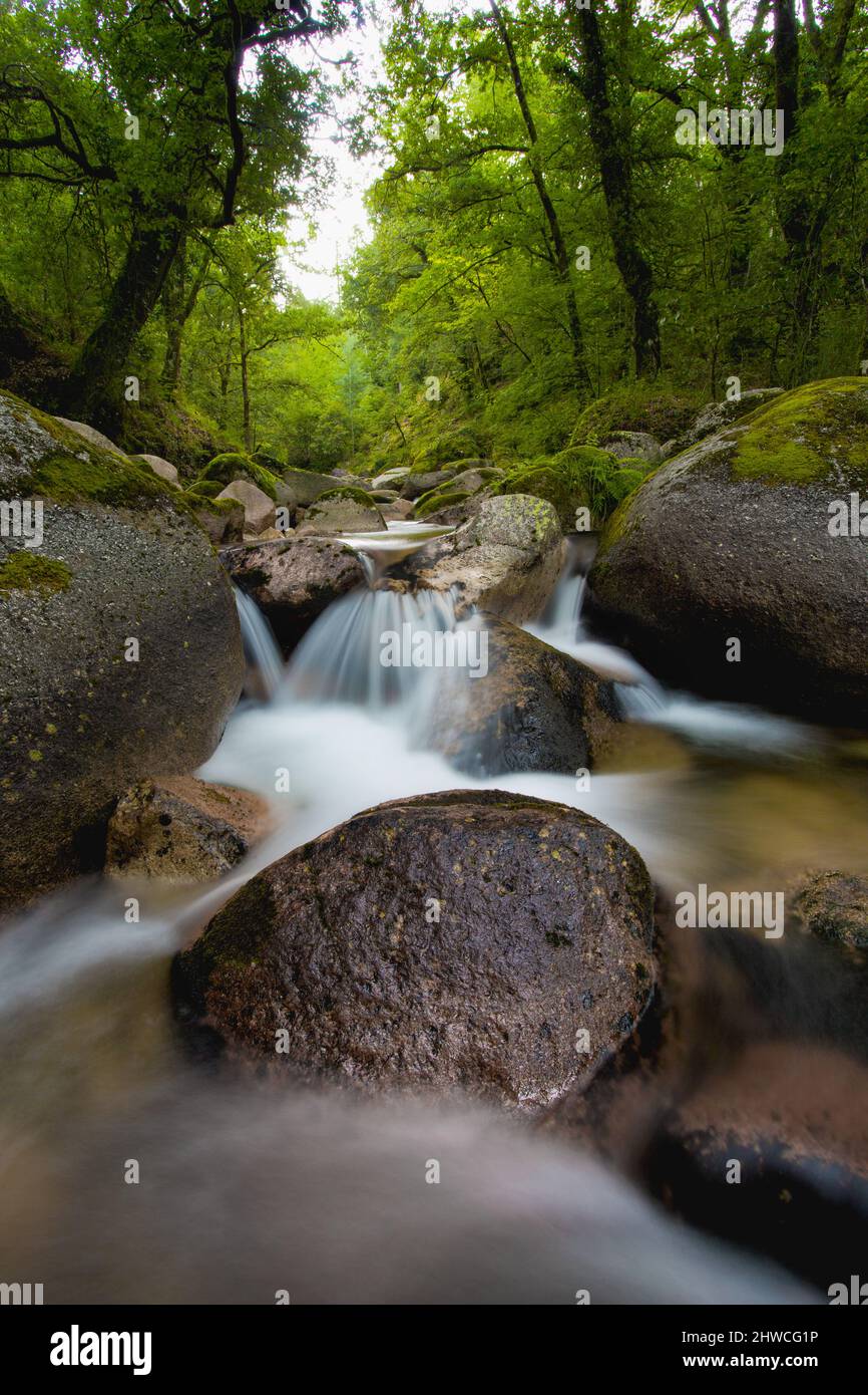 Beautiful nature running river hi-res stock photography and images - Alamy