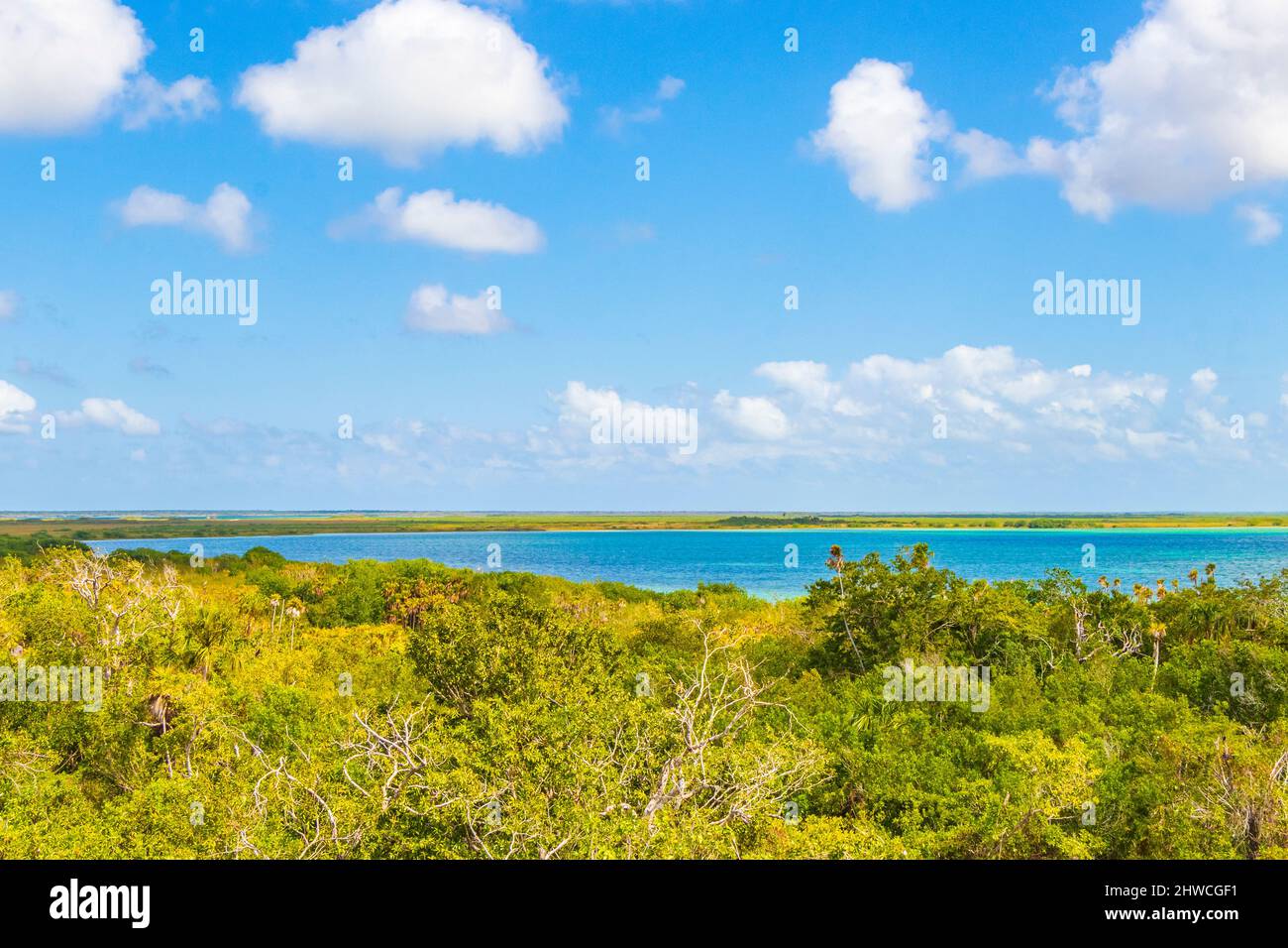 Panorama view to the Muyil Lagoon from the wooden viewpoint tower in ...