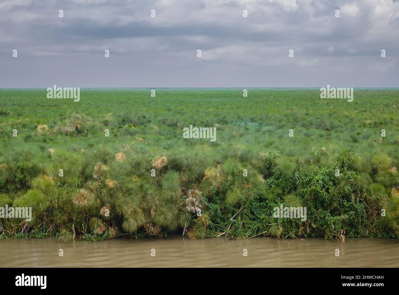 The sudd sudan hi-res stock photography and images - Alamy