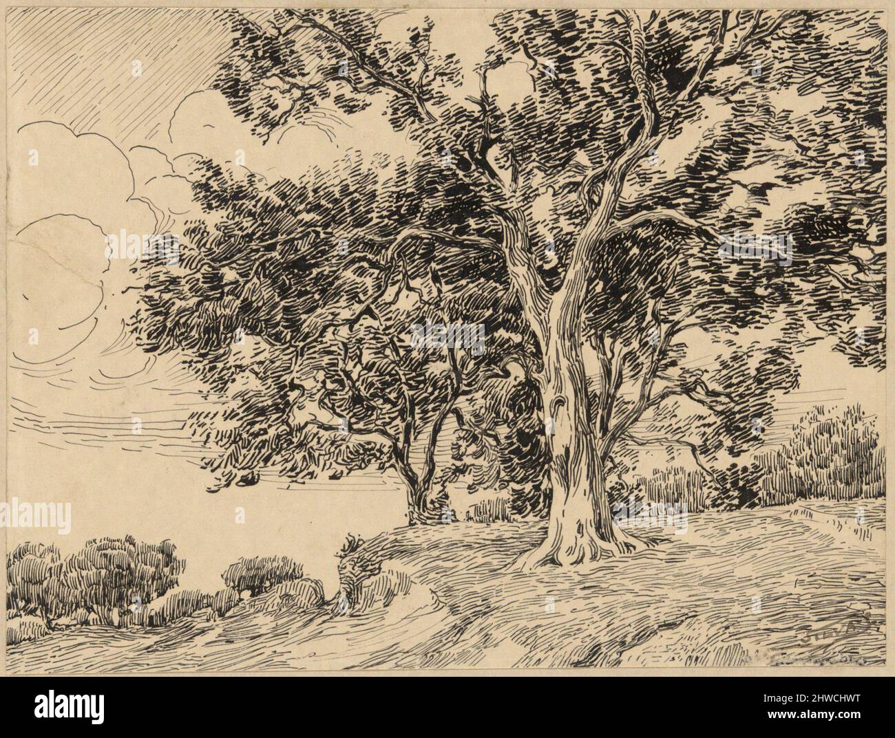 Untitled [Landscape with a tree]. Artist: William Posey Silva, American ...