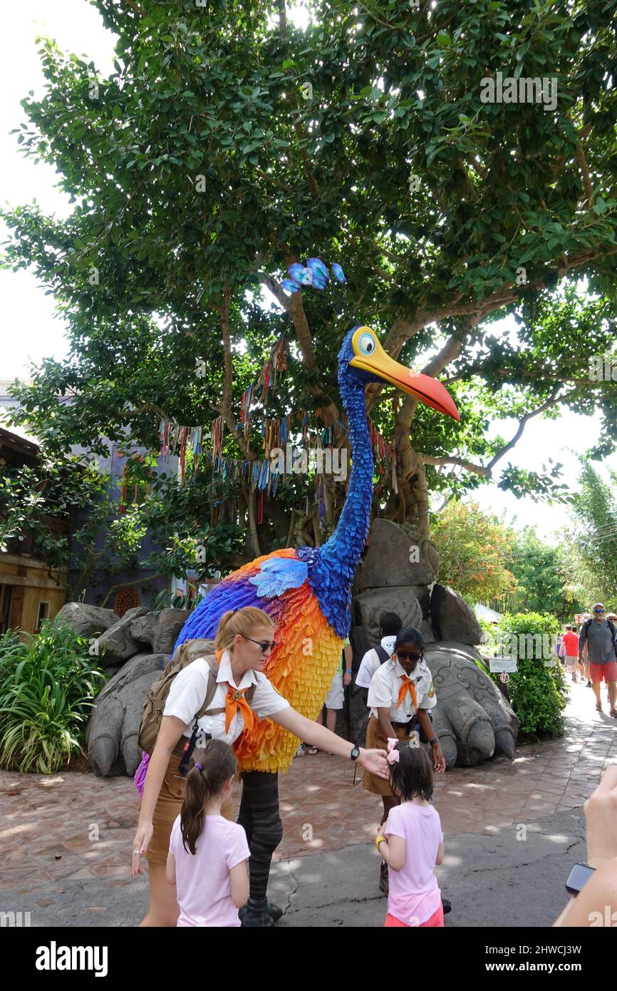 Up Movie Characters Kevin