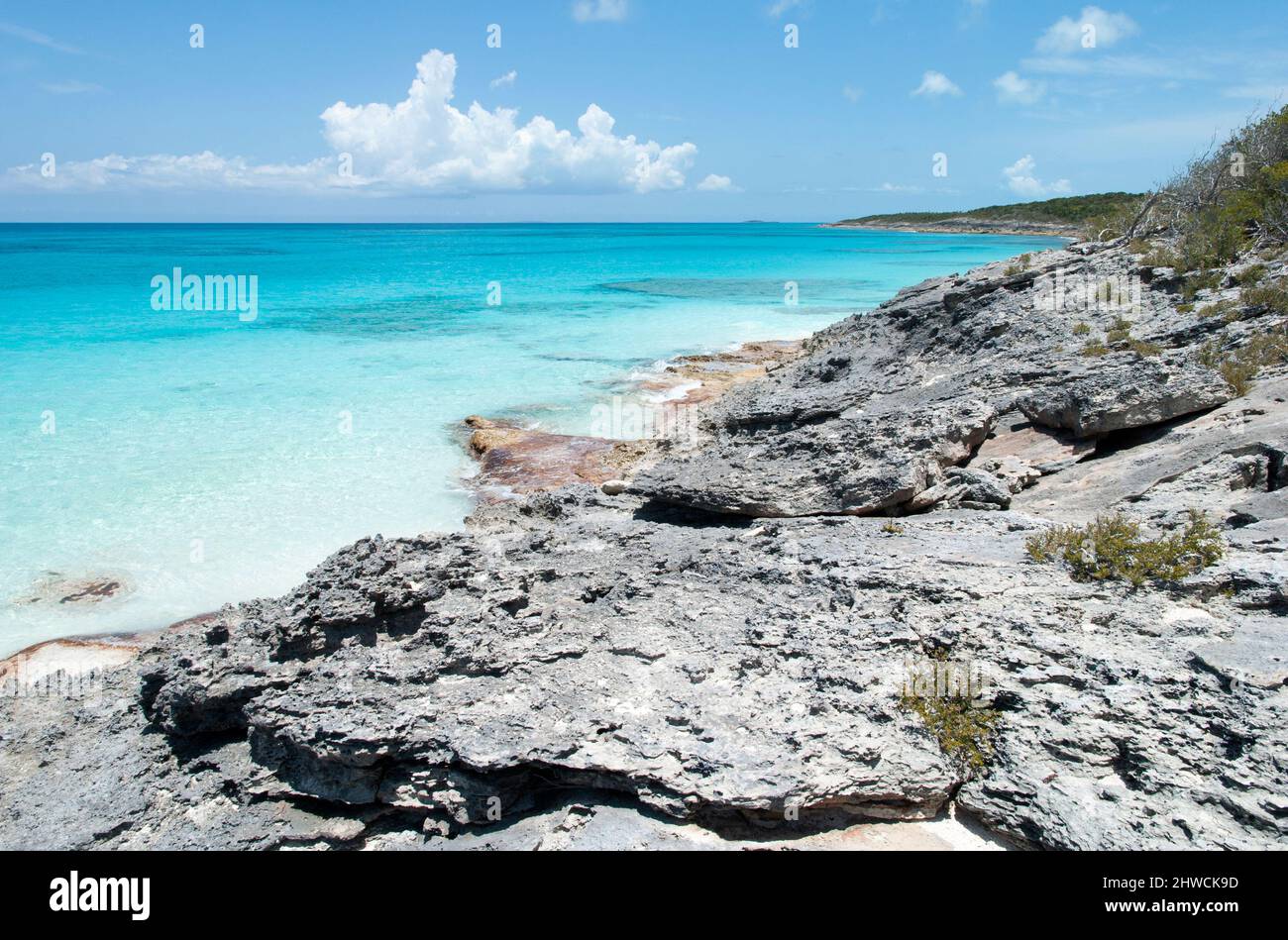 The scenic view of colorful waters and rocky coastline on Half Moon Cay ...