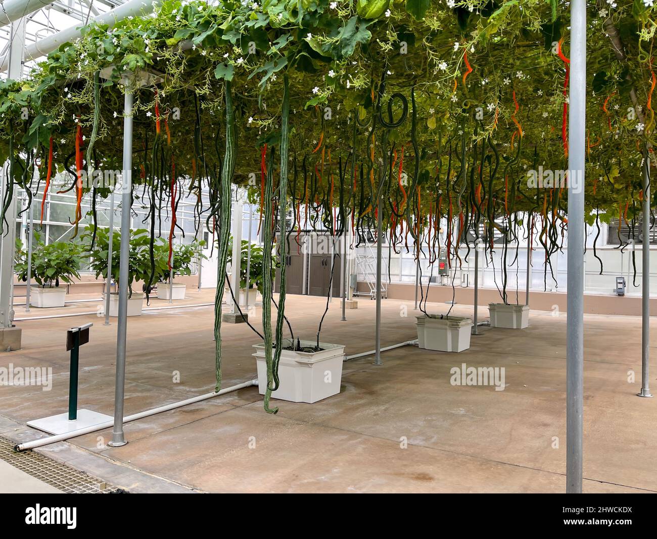 orlando, FL USA- April 27, 2021: The interior to the Land Pavillion at ...