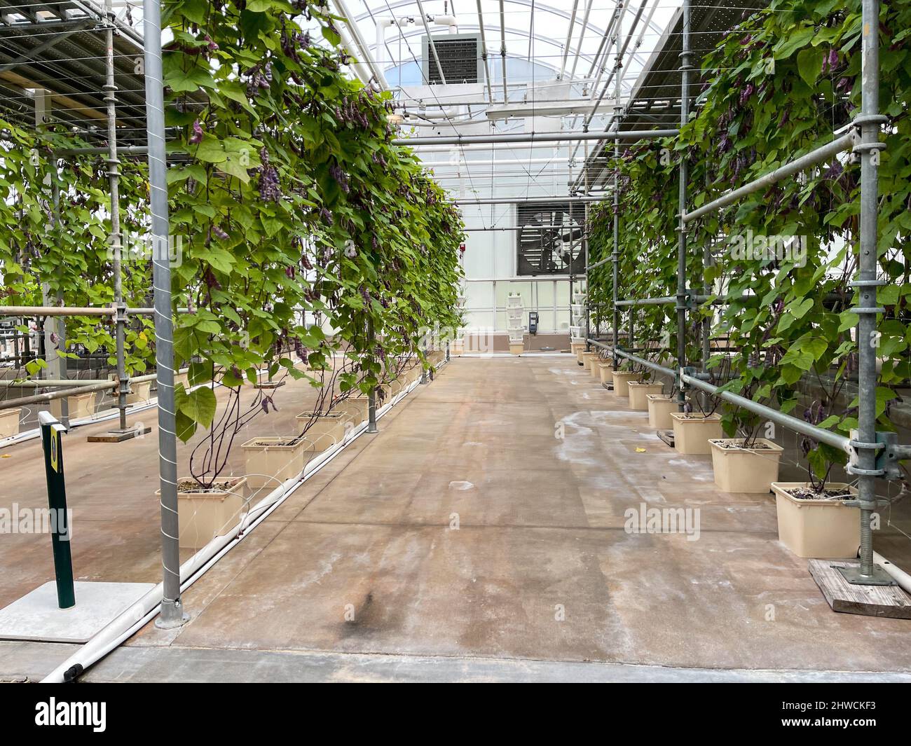 orlando, FL USA- April 27, 2021: The interior to the Land Pavillion at ...