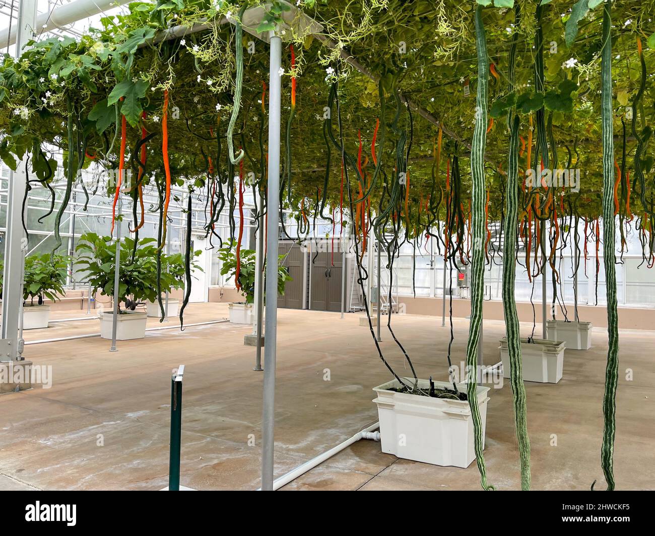 orlando, FL USA- April 27, 2021: The interior to the Land Pavillion at ...