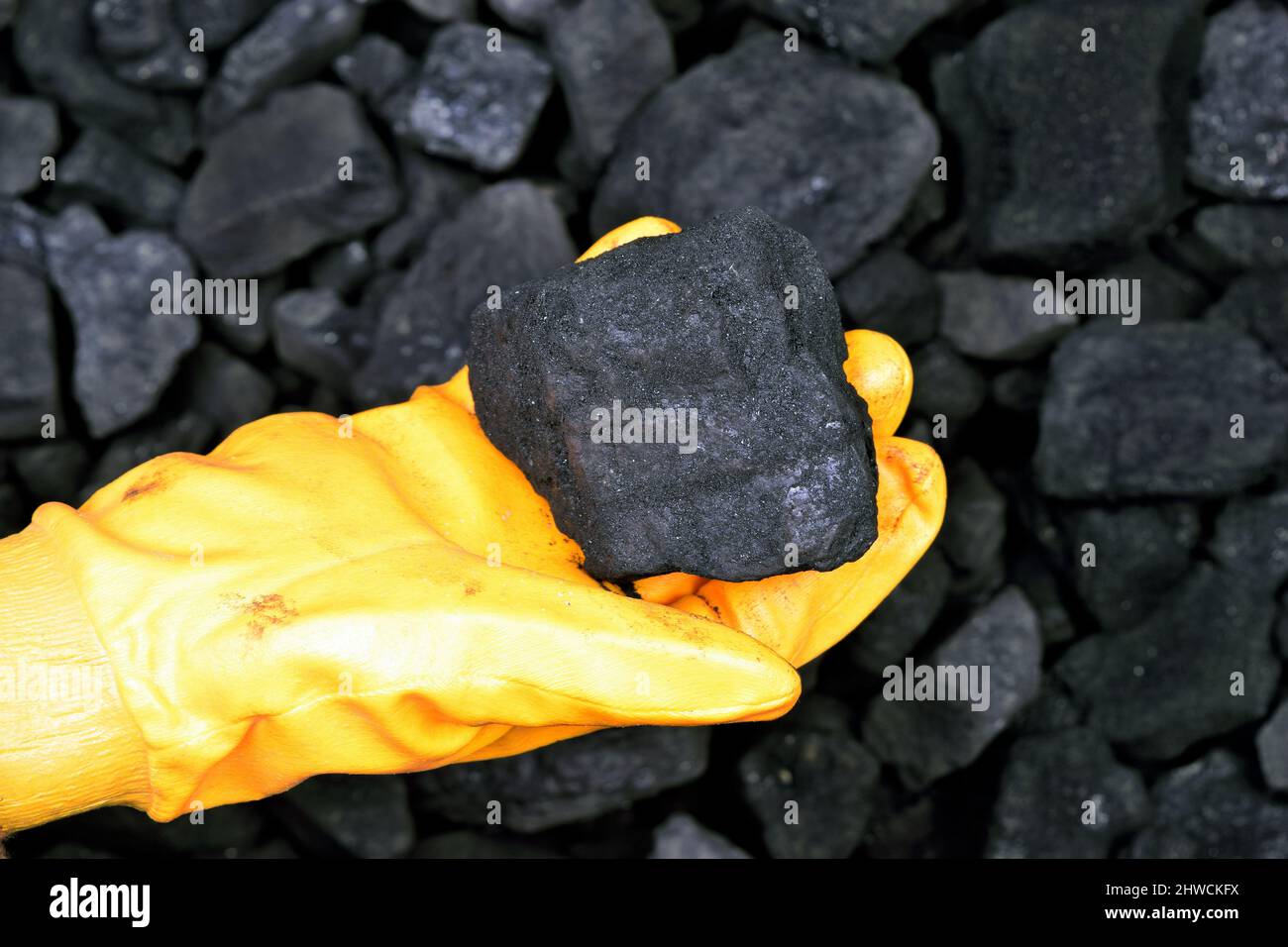 The miner hold and show cube of coal in hand as concept on coal of mine ...