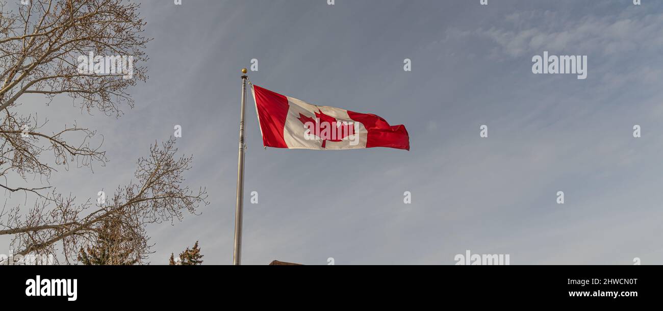 Canadian National flag flying in Calgary downtown Stock Photo - Alamy