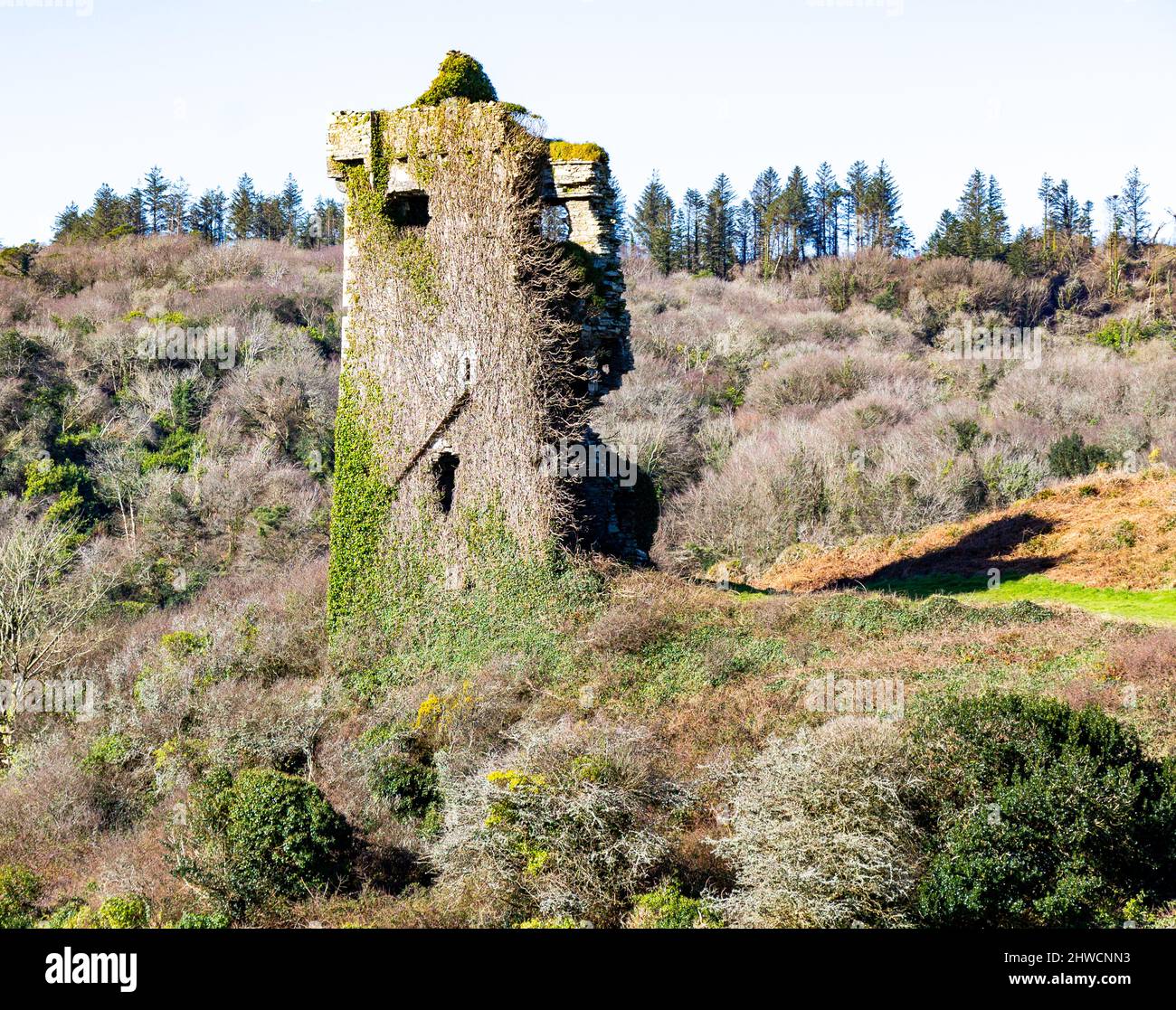Irish historic building hi-res stock photography and images - Alamy