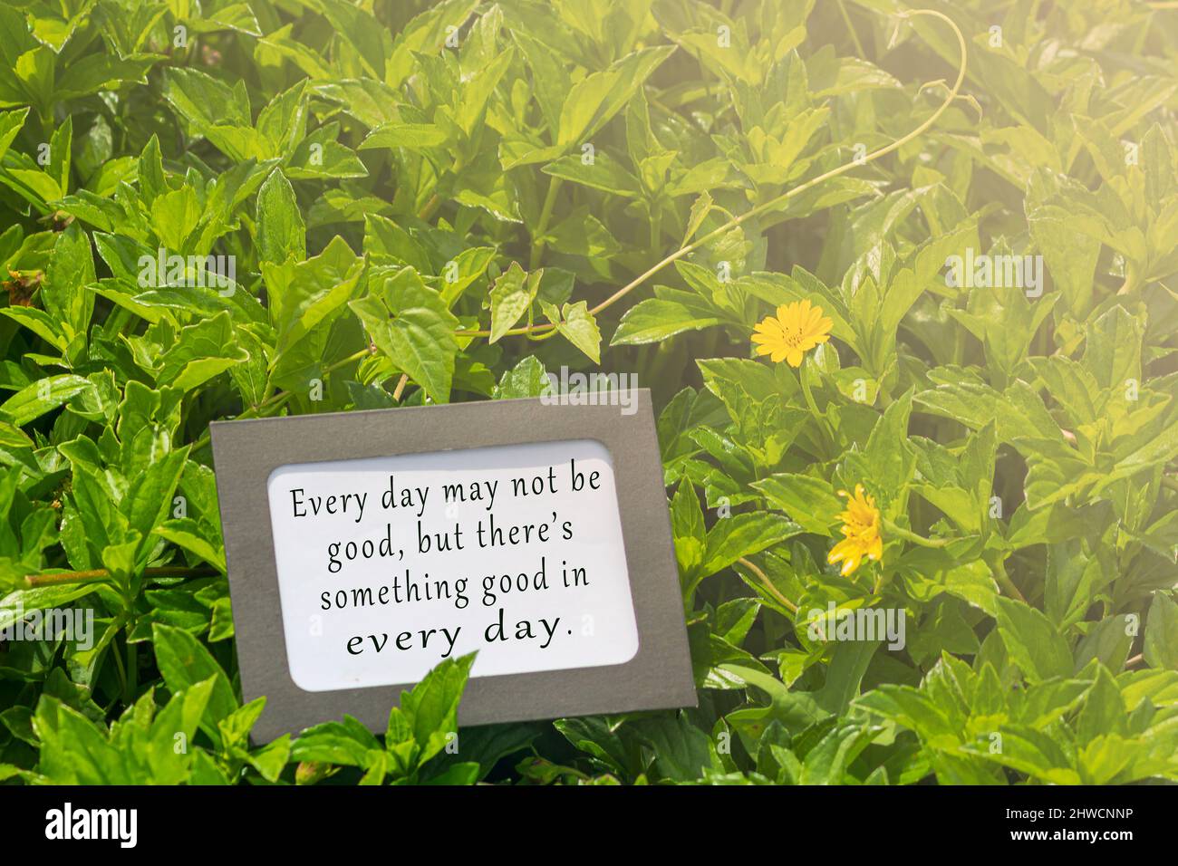 Motivational quote on notepad with blurred green leave and flowers ...