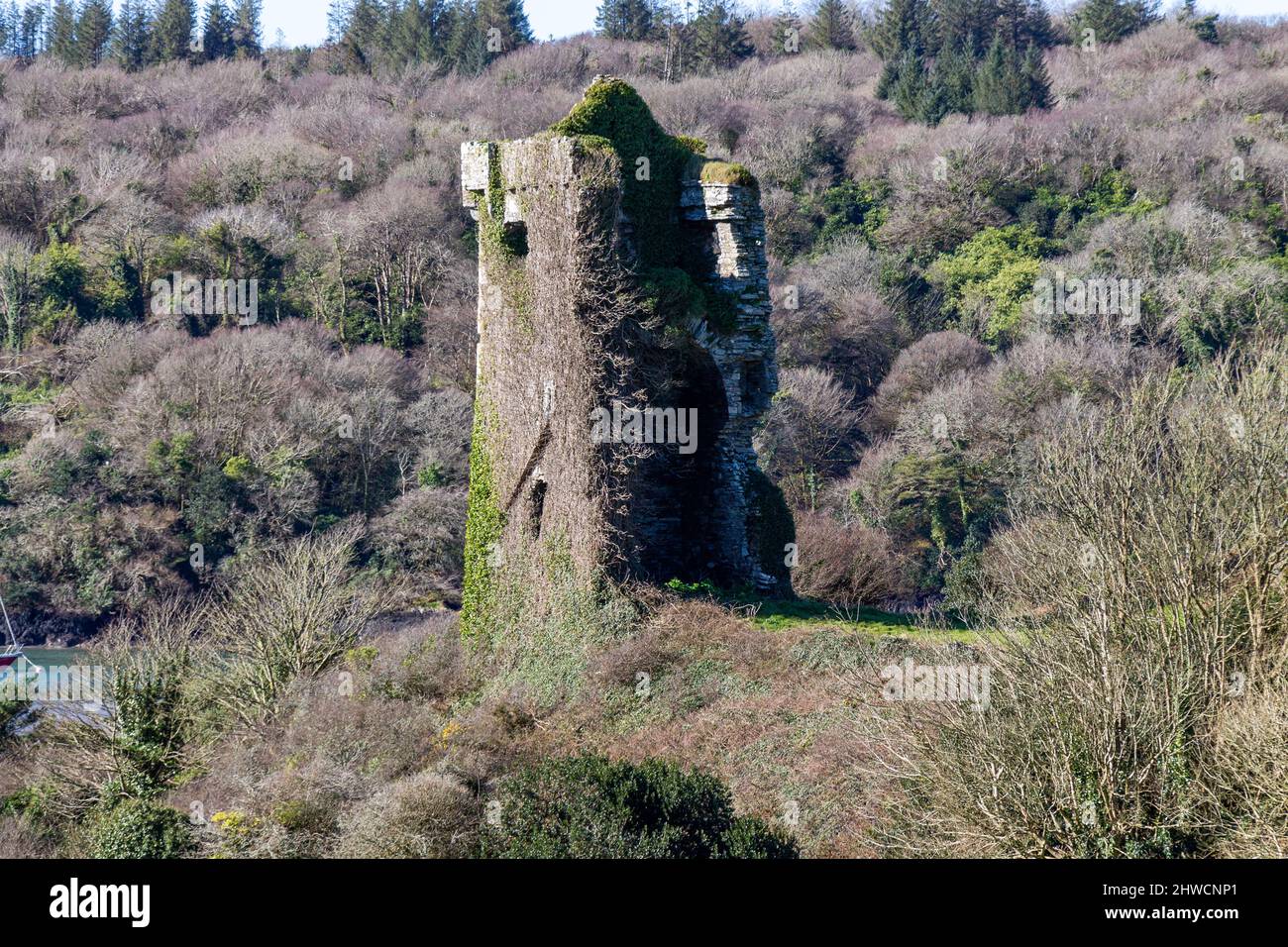 Raheen Castle Ruin, West Cork, Ireland Stock Photo - Alamy