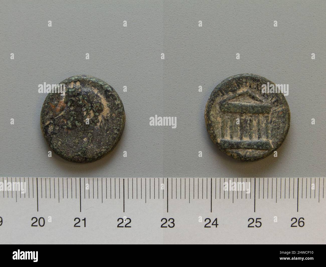 L arrius peregrinus hi-res stock photography and images - Alamy