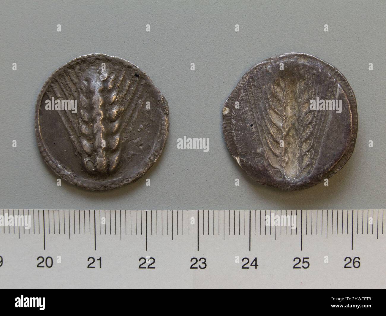 Stater from Metapontum. Mint: Metapontum Stock Photo - Alamy