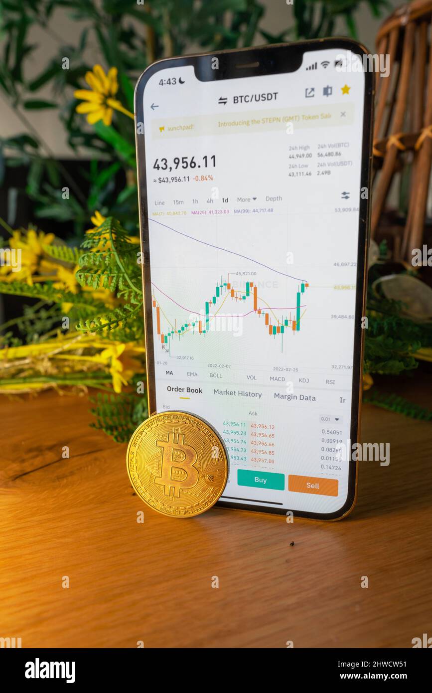 Bitcoin gold coin - cryptocurrency concept candlestick chart - Bull ...