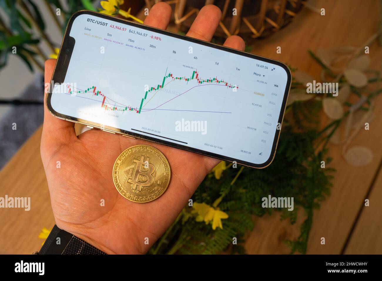 Bitcoin gold coin - cryptocurrency concept candlestick chart - Bull market trend Stock Photo - Alamy