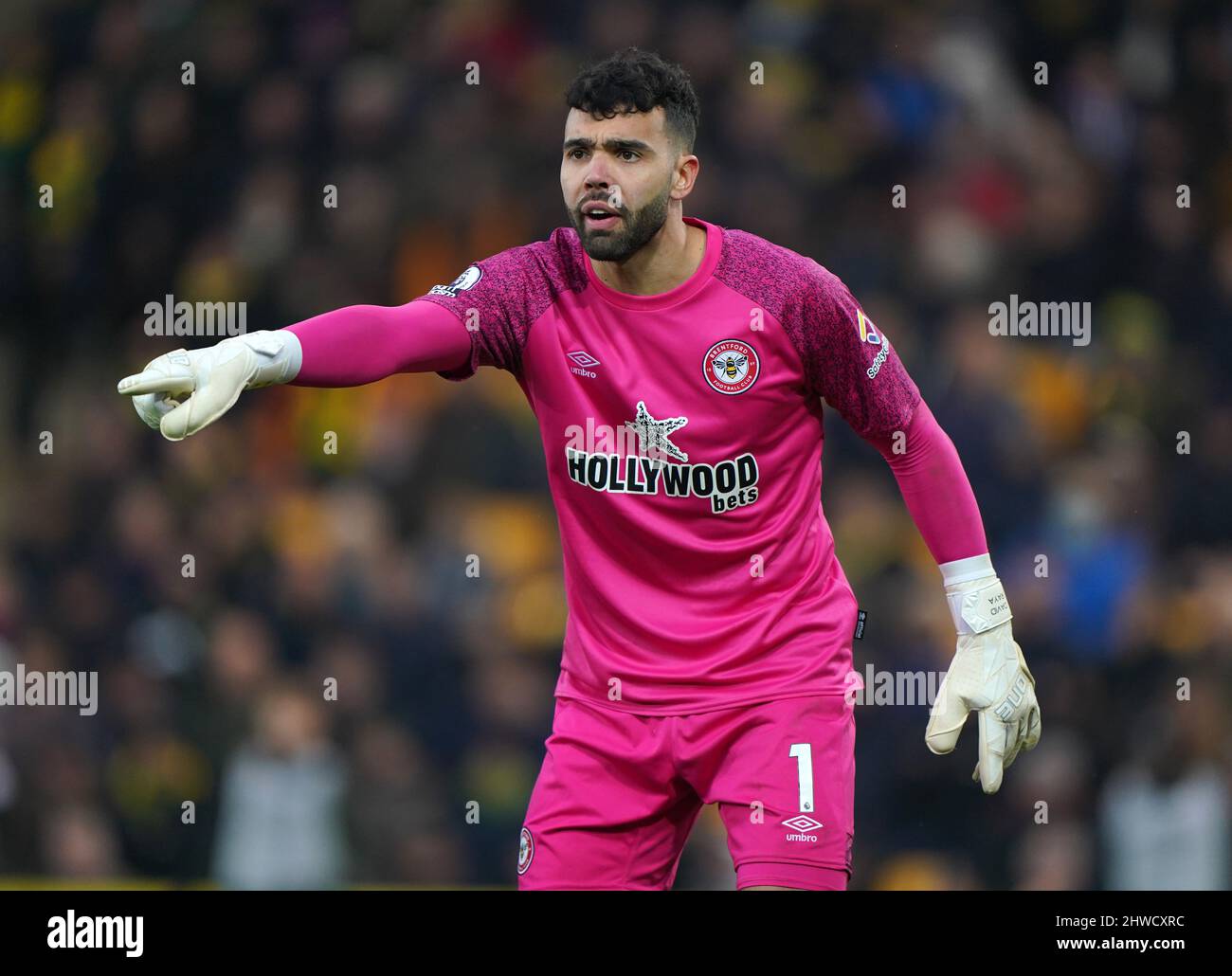 Brentford goalkeeper David Raya Martin during the Premier League match ...