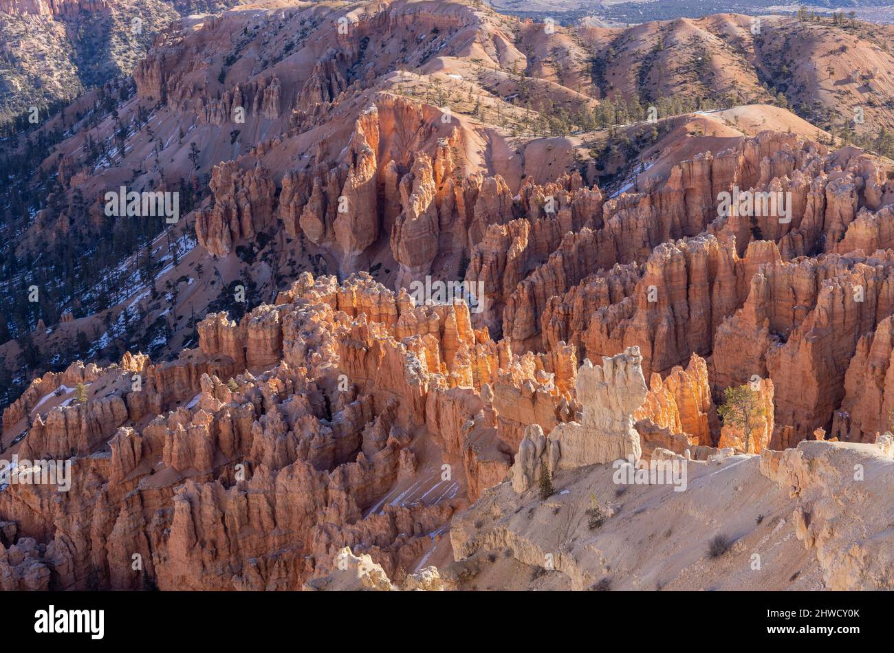 Bryce Canyon National Park Utah Winter Landscape Stock Photo - Alamy