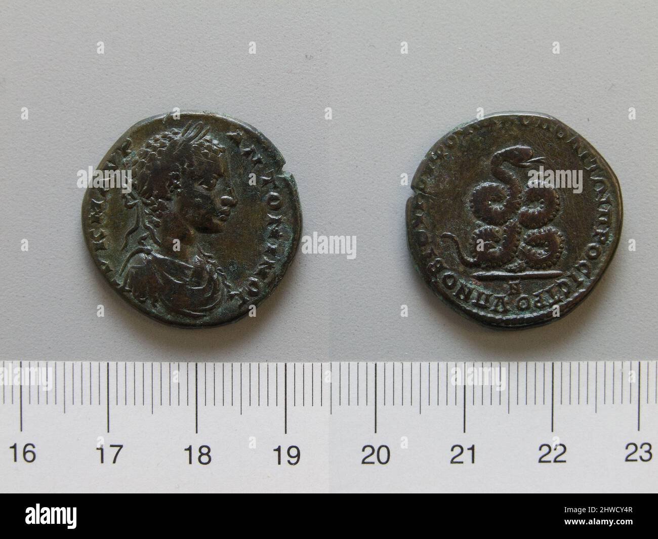 Novius hi-res stock photography and images - Alamy