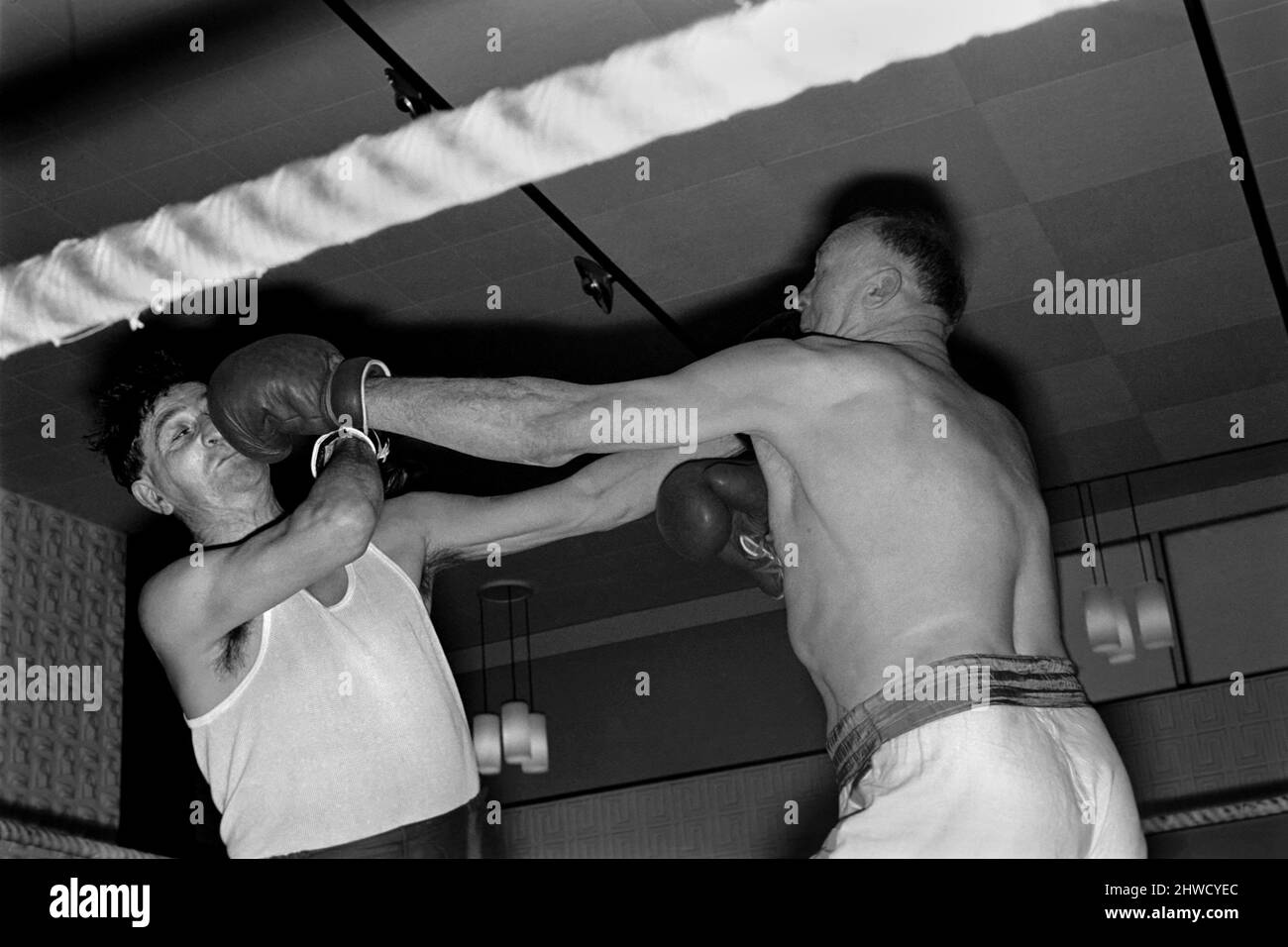 73 years old, and still boxing, Fred Oldham, a Shirley, Birmingham, pig ...
