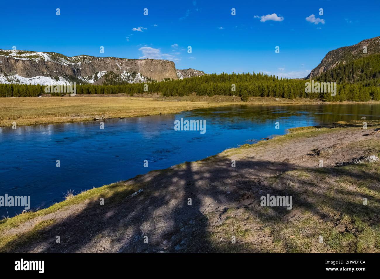 Beautiful spring landscape in the Madison River Valley of Yellowstone ...