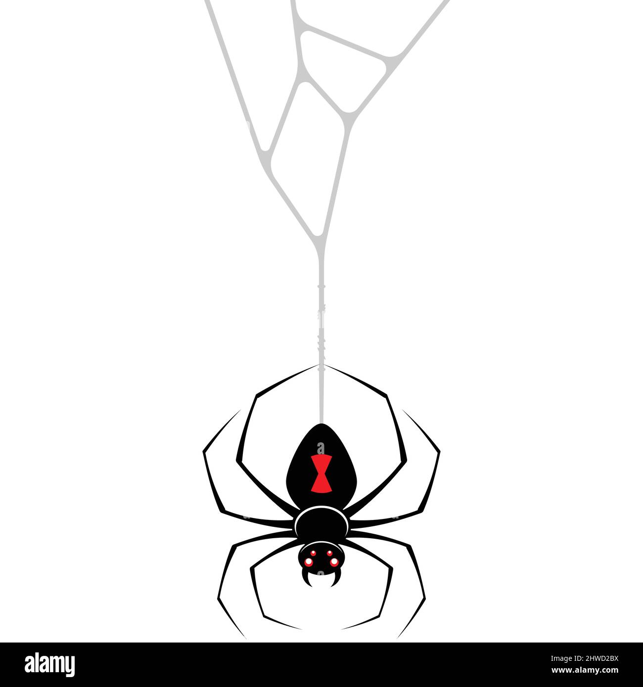 Black Widow Spider Vector Design, Spider Latrodectus mactans, arachnid ...