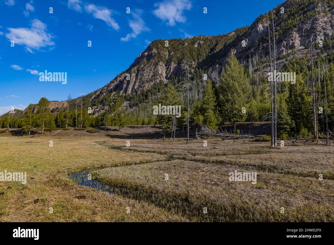 Beautiful spring landscape in the Madison River Valley of Yellowstone ...