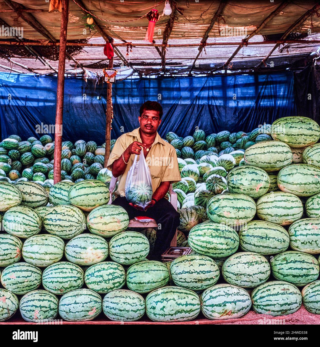 Watermelon seller and produce in Goan market, India Stock Photo - Alamy