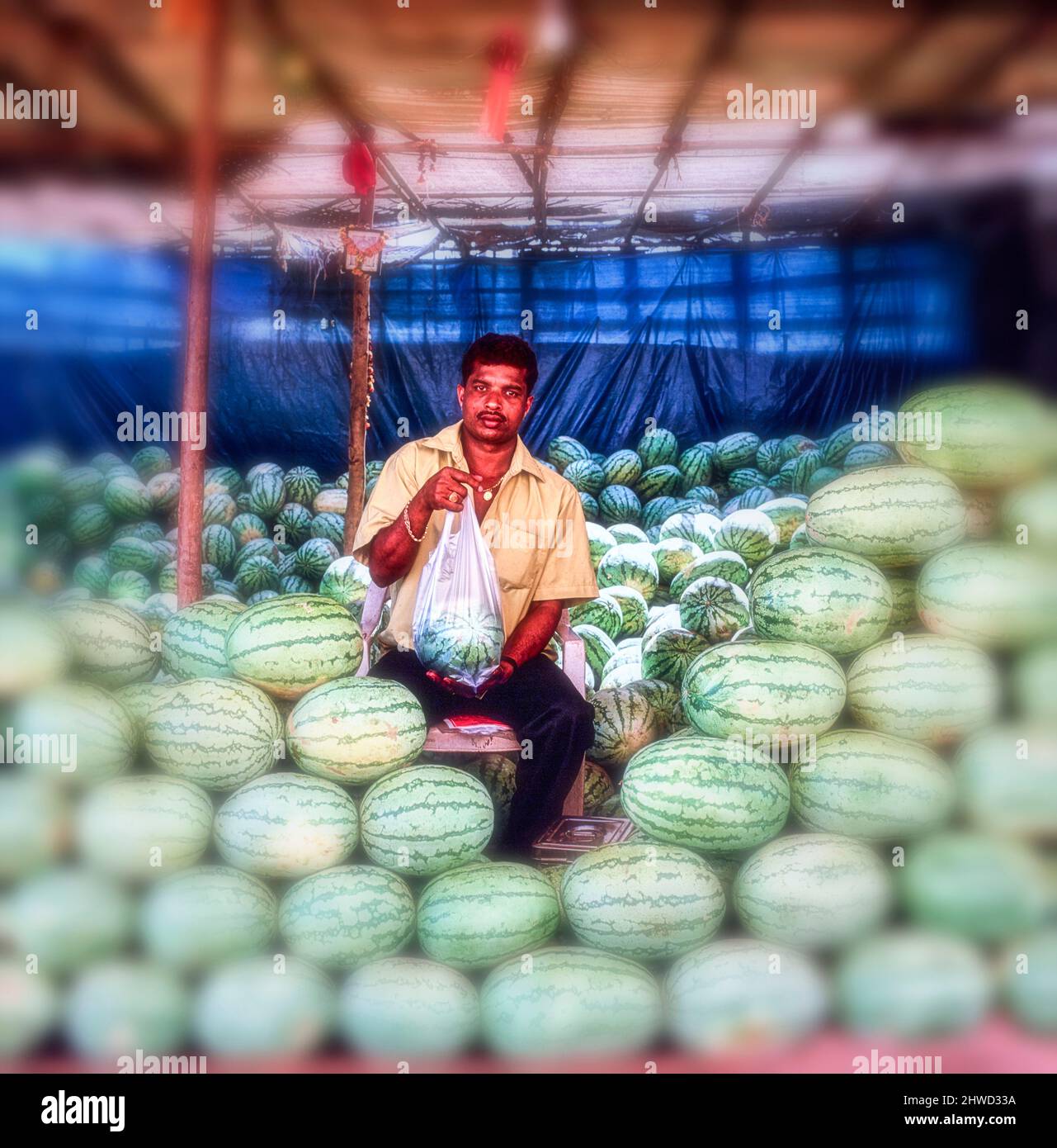 Watermelon seller and produce in Goan market, India Stock Photo - Alamy