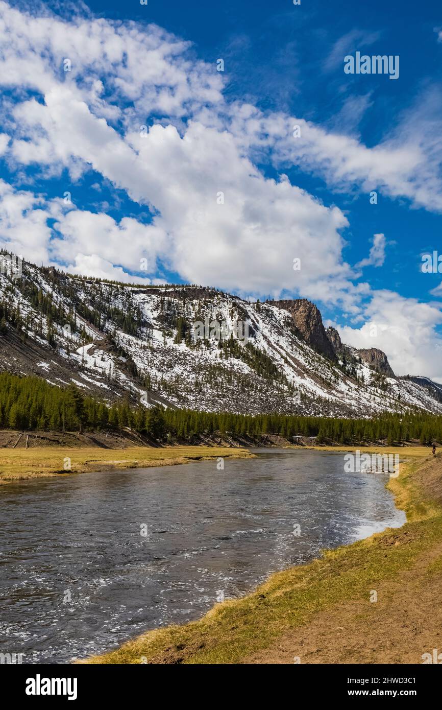 Yellowstone madison hi-res stock photography and images - Alamy