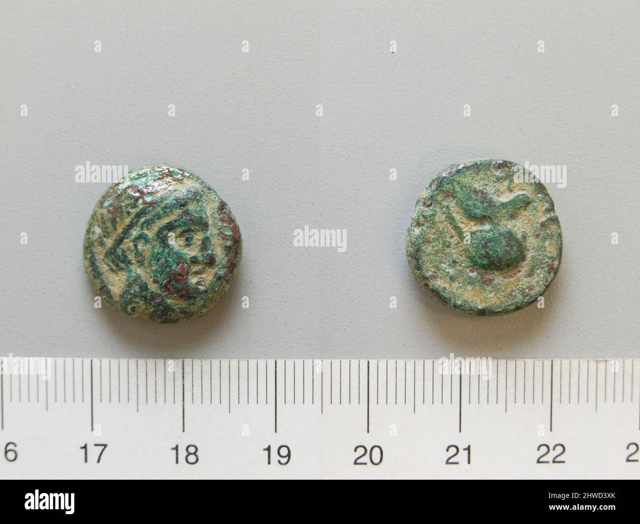 Scione hi-res stock photography and images - Alamy