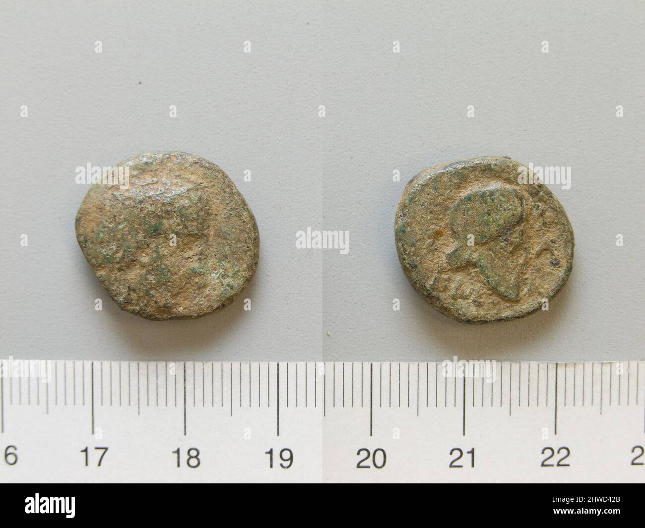 Scione hi-res stock photography and images - Alamy