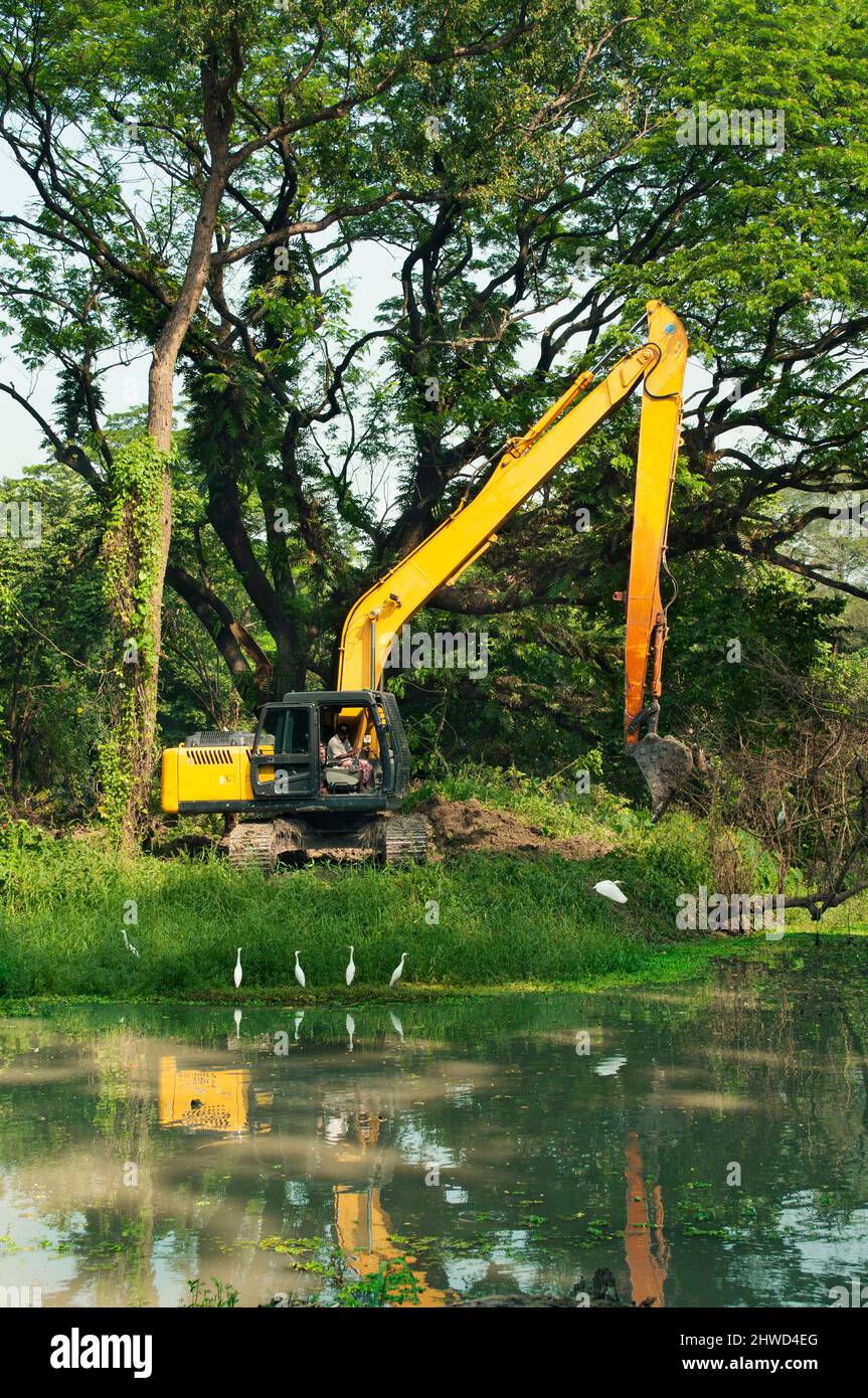 Cutting trees india deforestation hi-res stock photography and images ...