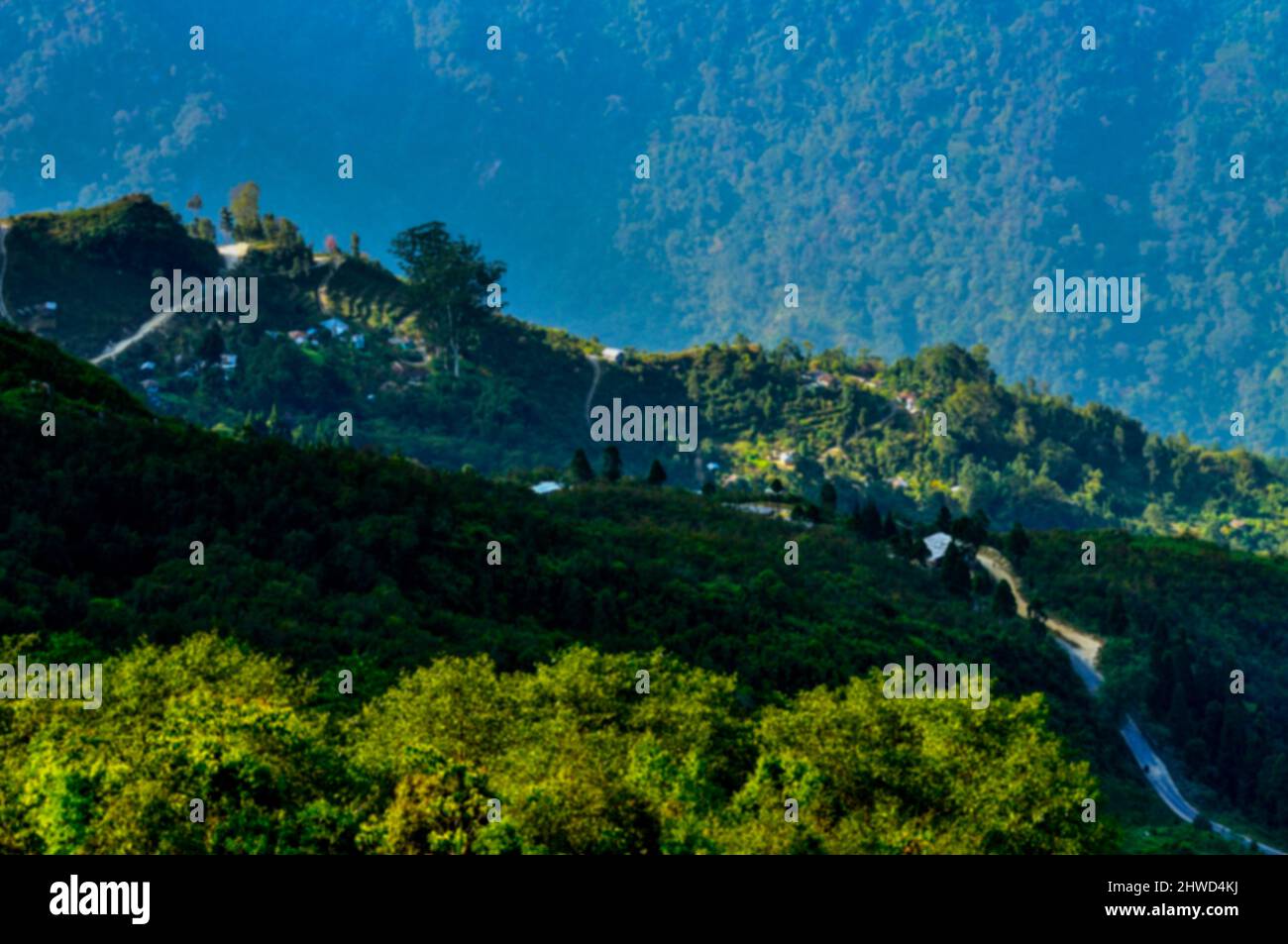 Blurred image of Silerygaon valley, Sikkim. View of green trees grown ...